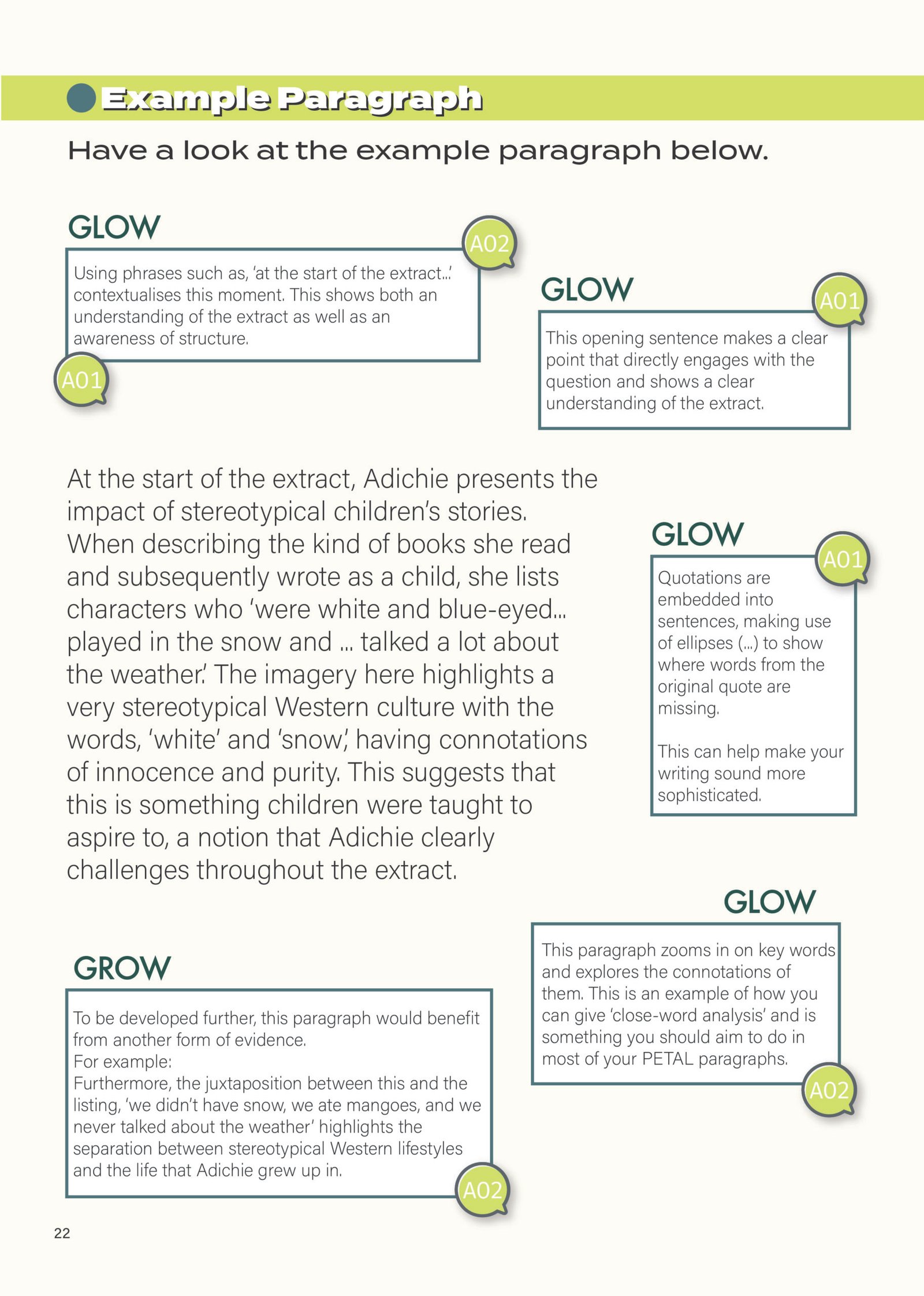 The Danger of a Single Story | Free iGCSE Revision Workbook