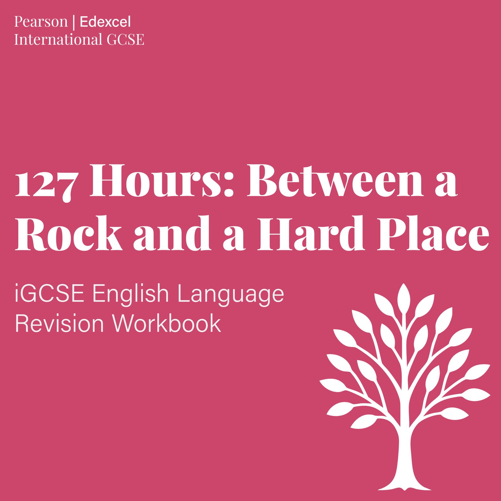 127 Hours: Between a Rock and a Hard Place | iGCSE English Language ...