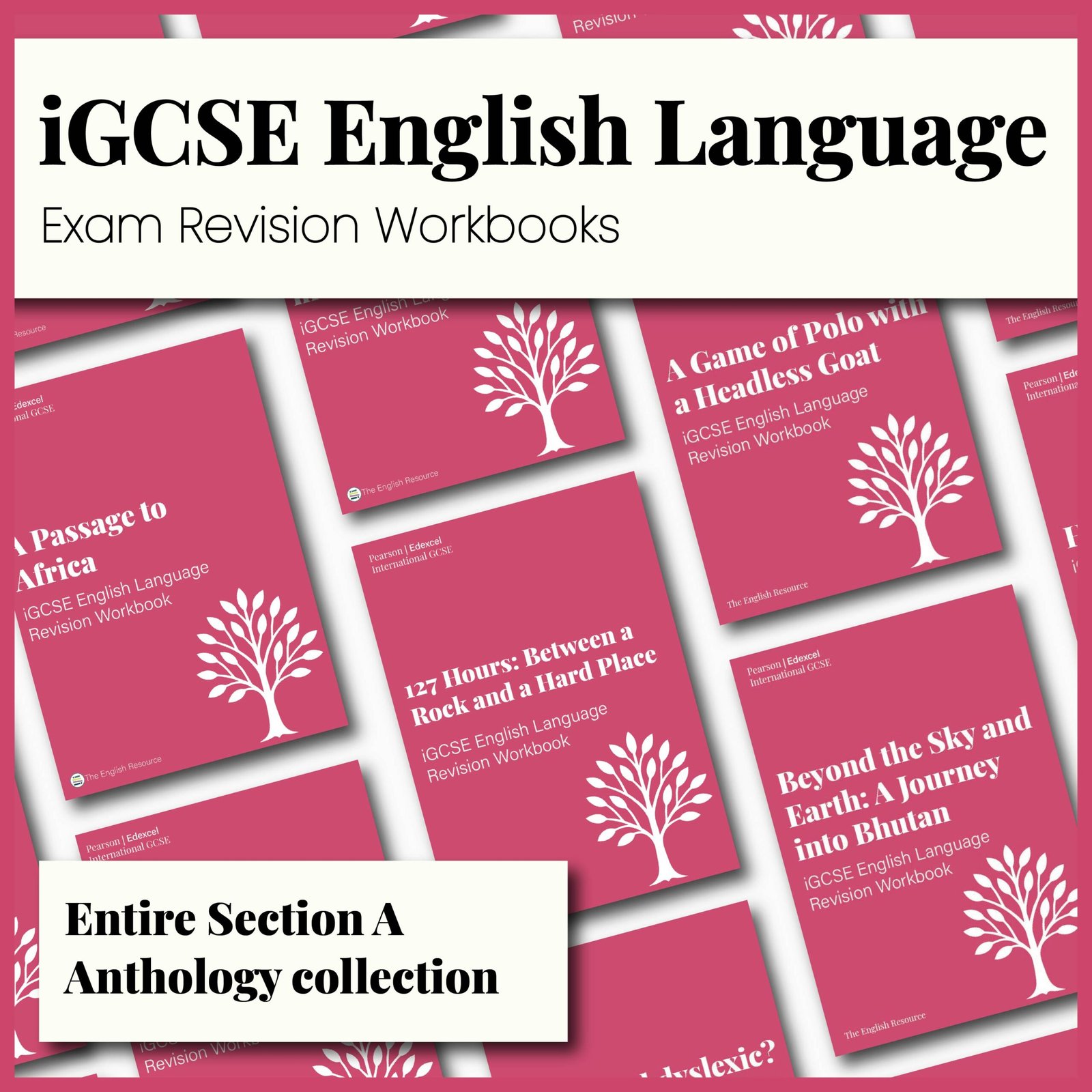 iGCSE English Language Revision Workbooks | Full Collection